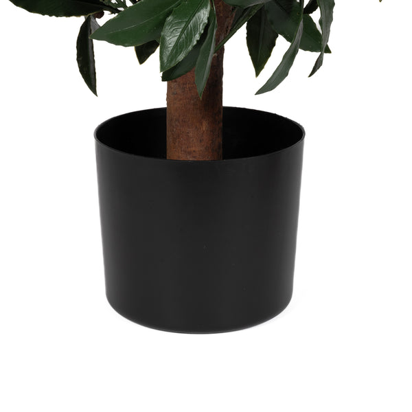 UV Bay Laurel Ball Topiary - 30 Inch – Bella Marie