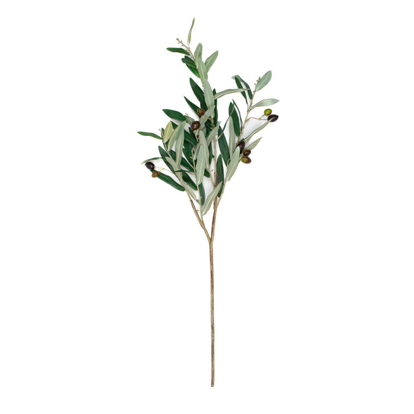 Olive Leaf Branch - 32 Inch - Set of 6 – Bella Marie